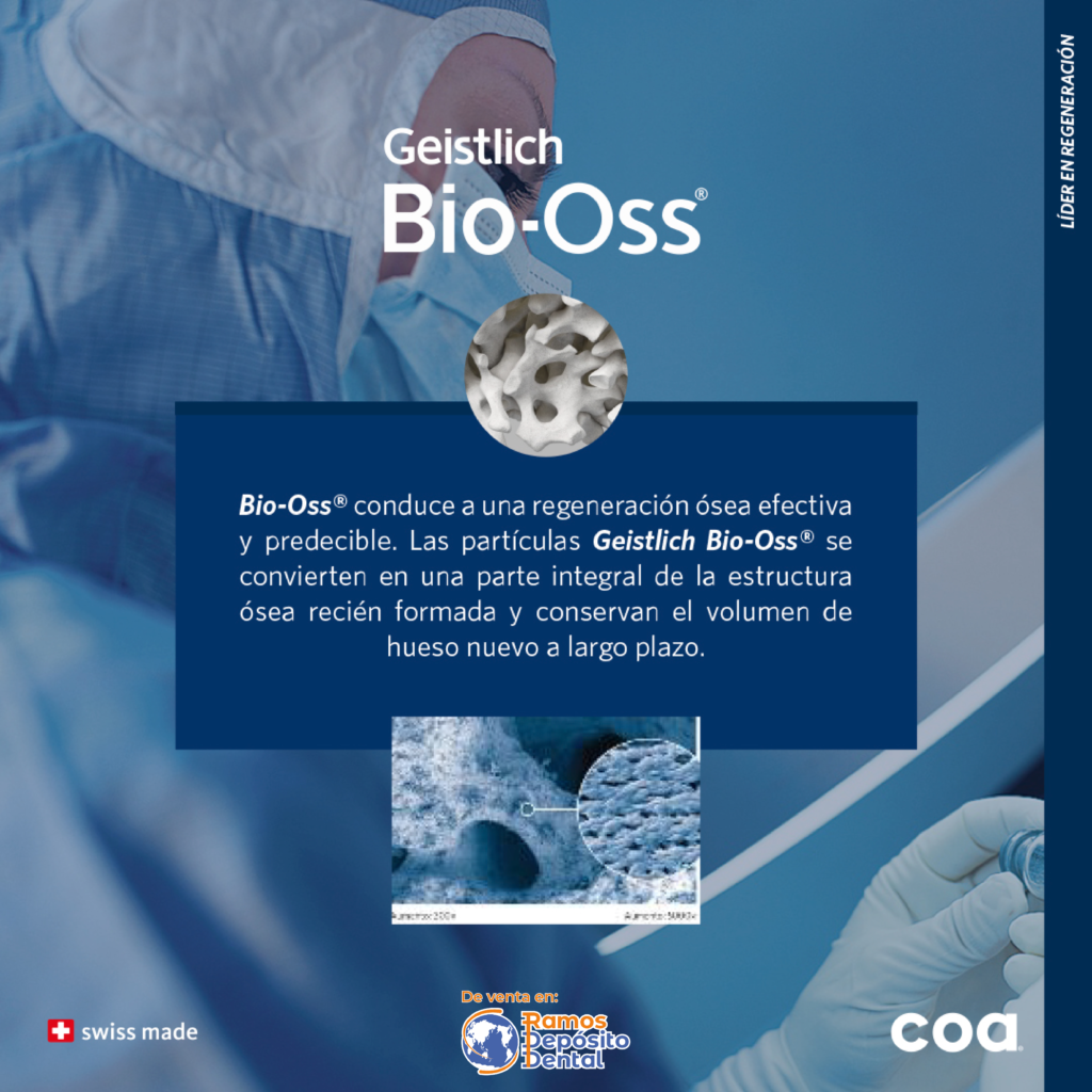 Hueso Bovino Bio-Oss Geistlich – Ramos Depósito